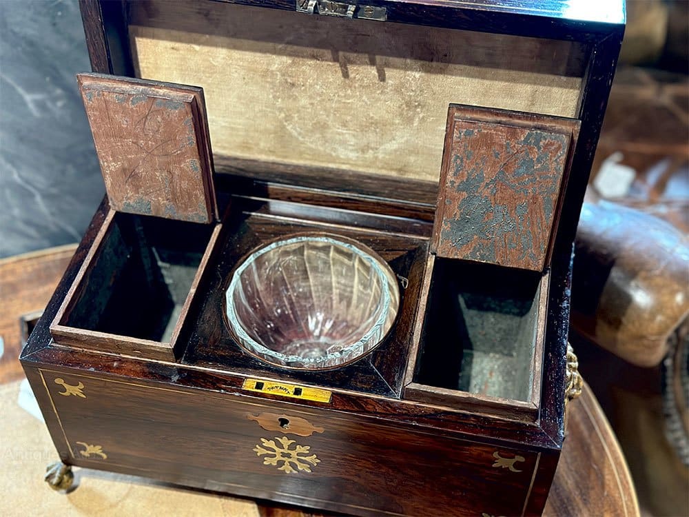 Regency Rosewood Tea Caddy - Maysvillemo Vintage Antiques